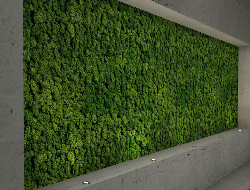 NAMOSSA™ – Moosbilder, Mooswände, Skulpturen von W. M. Plattner ...